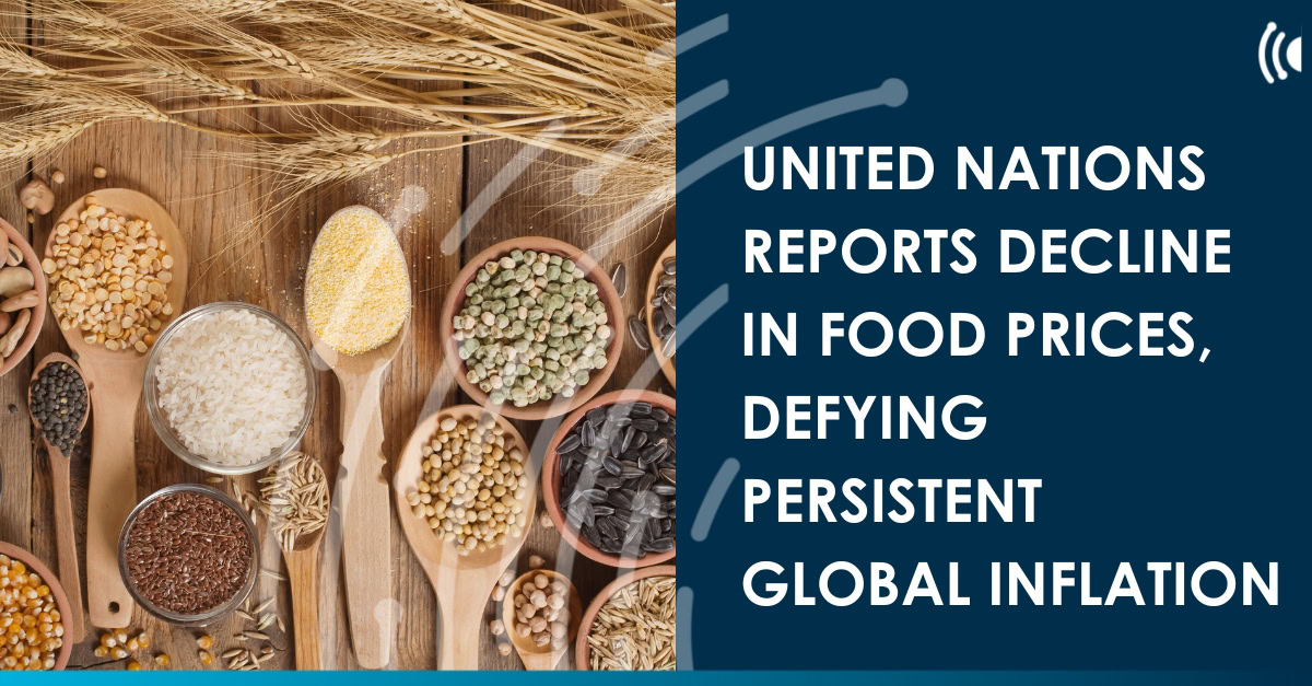 United Nations reports decline in food prices, defying persistent ...