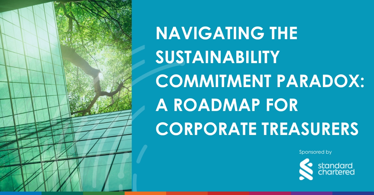 Navigating the Sustainability Commitment Paradox: A roadmap for ...