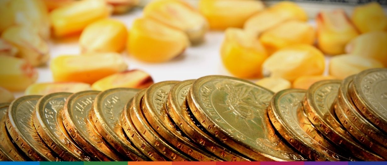 Commodity Trading