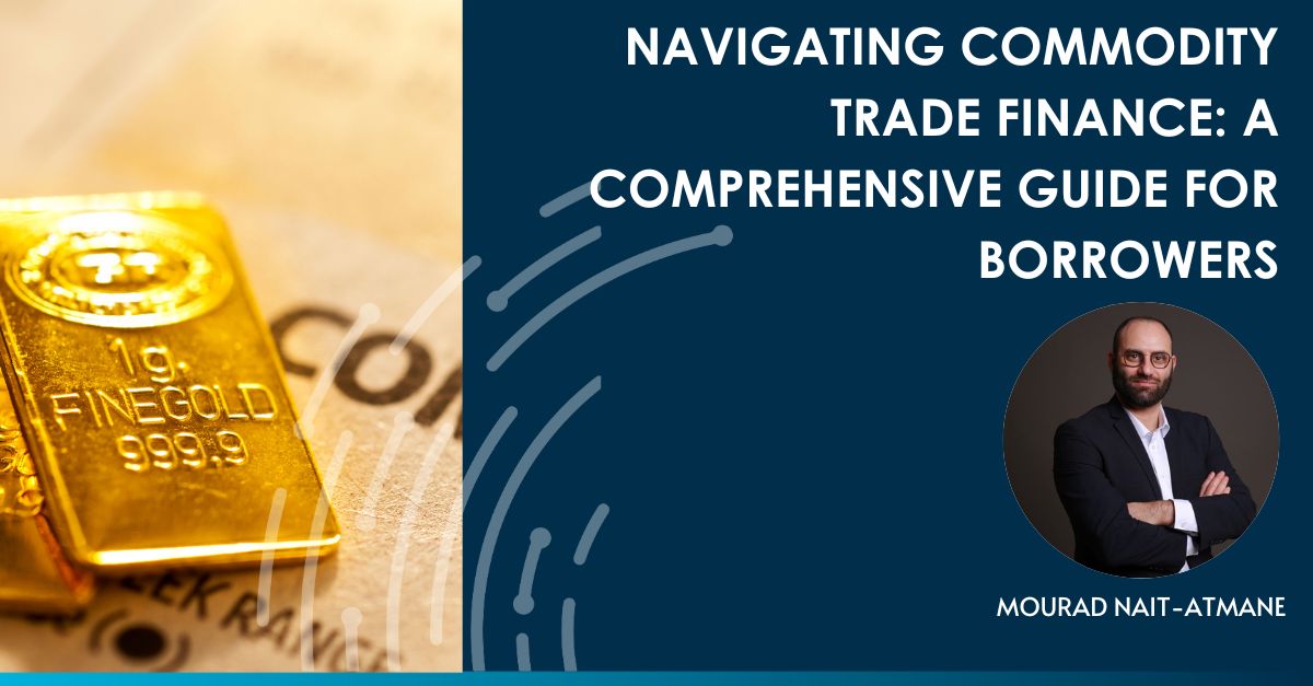 Navigating commodity trade finance: A comprehensive guide for borrowers ...